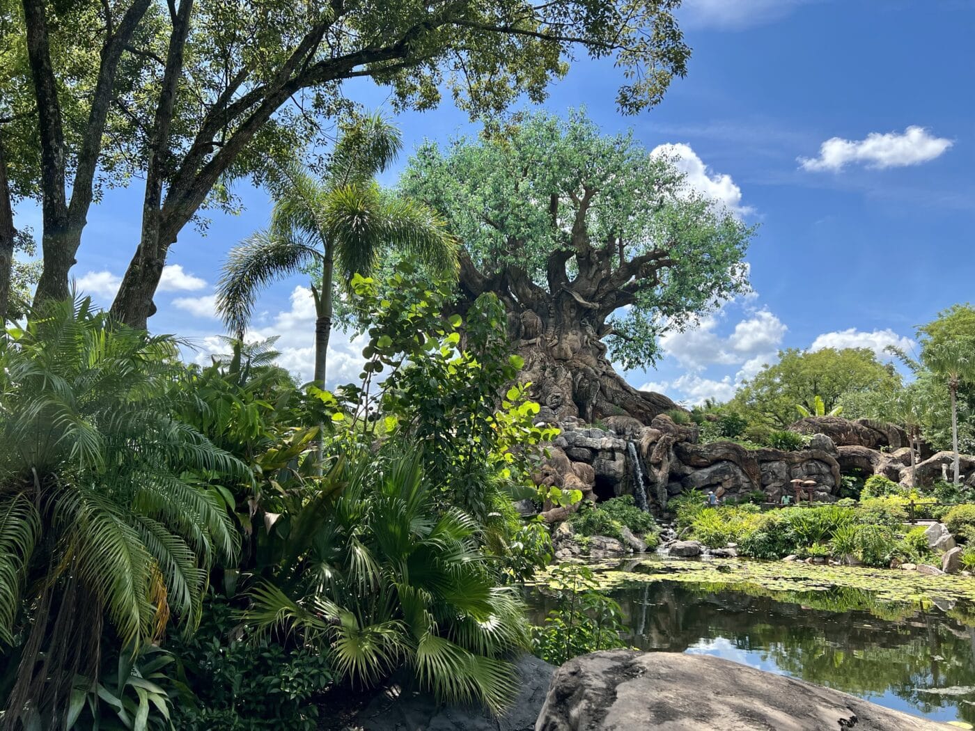 Walt Disney World Hurricane Guide – What to Expect & Plan - Park Savers