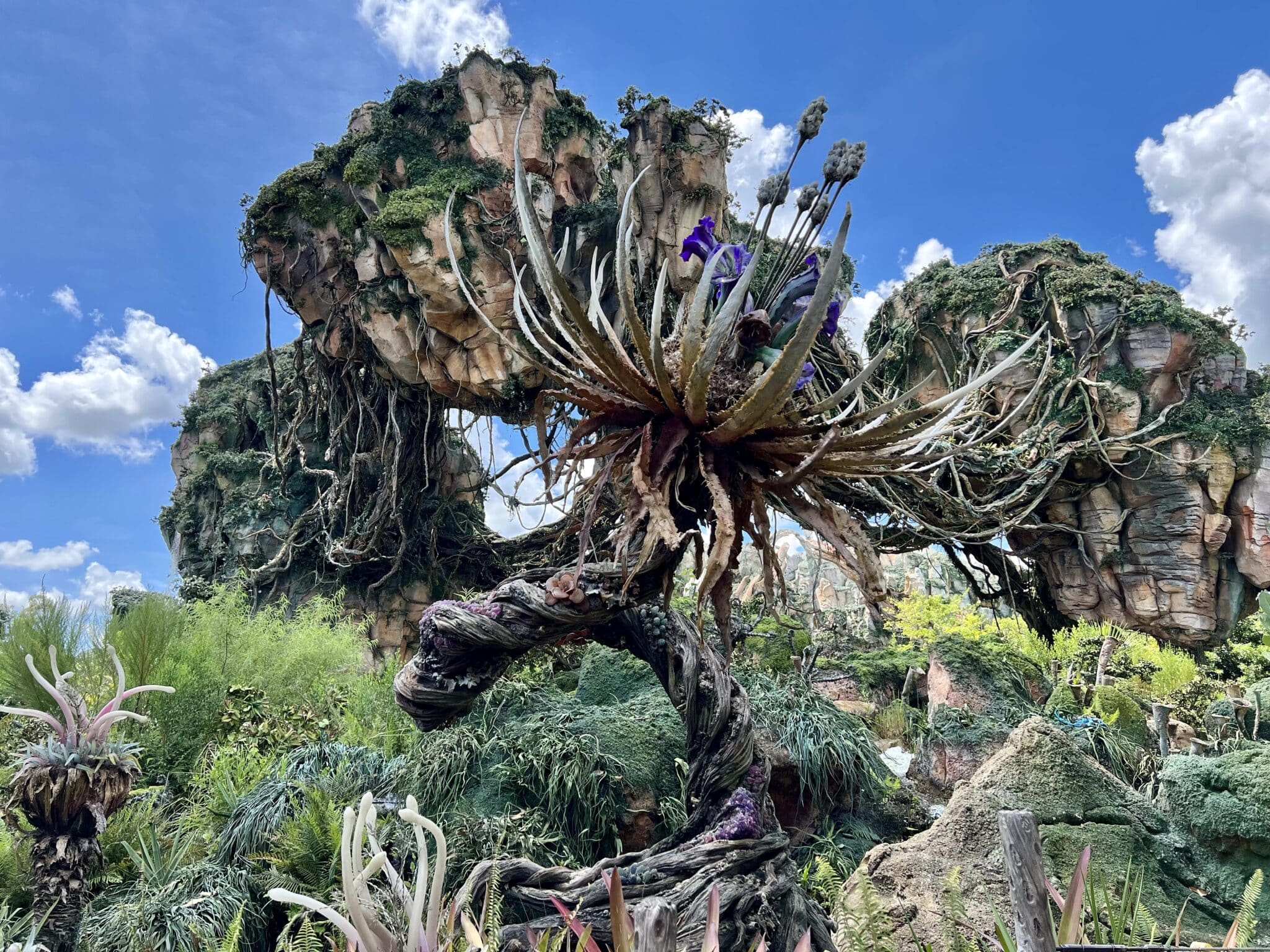 Walt Disney World Hurricane Guide – What to Expect & Plan - Park Savers