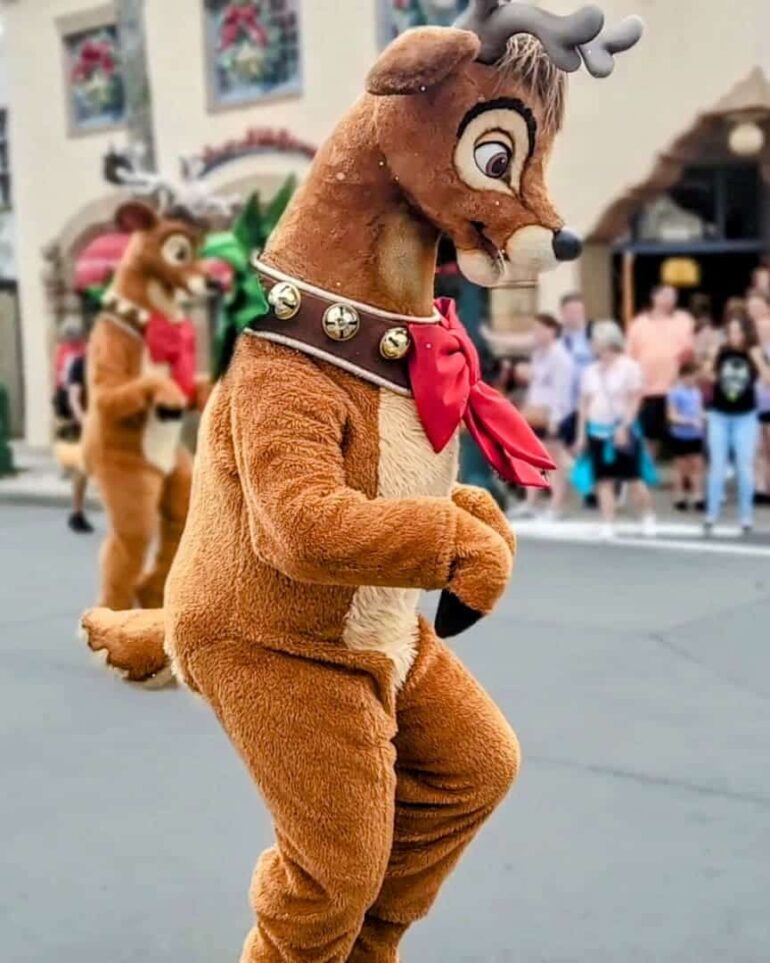 Hollywood Studios Christmas Guide & Photo Tour - Park Savers