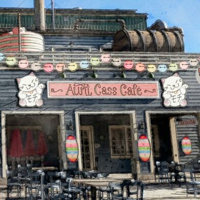 Aunt Cass Cafe Review - Park Savers