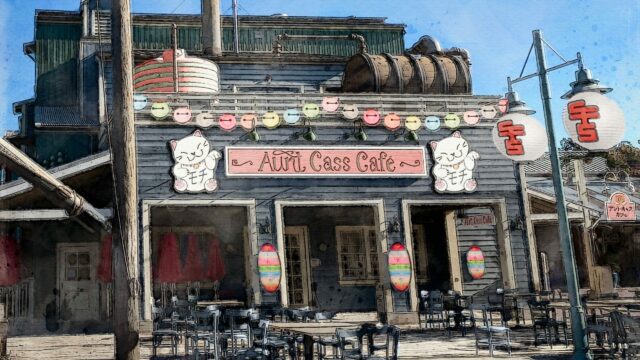 Aunt Cass Cafe Review Park Savers