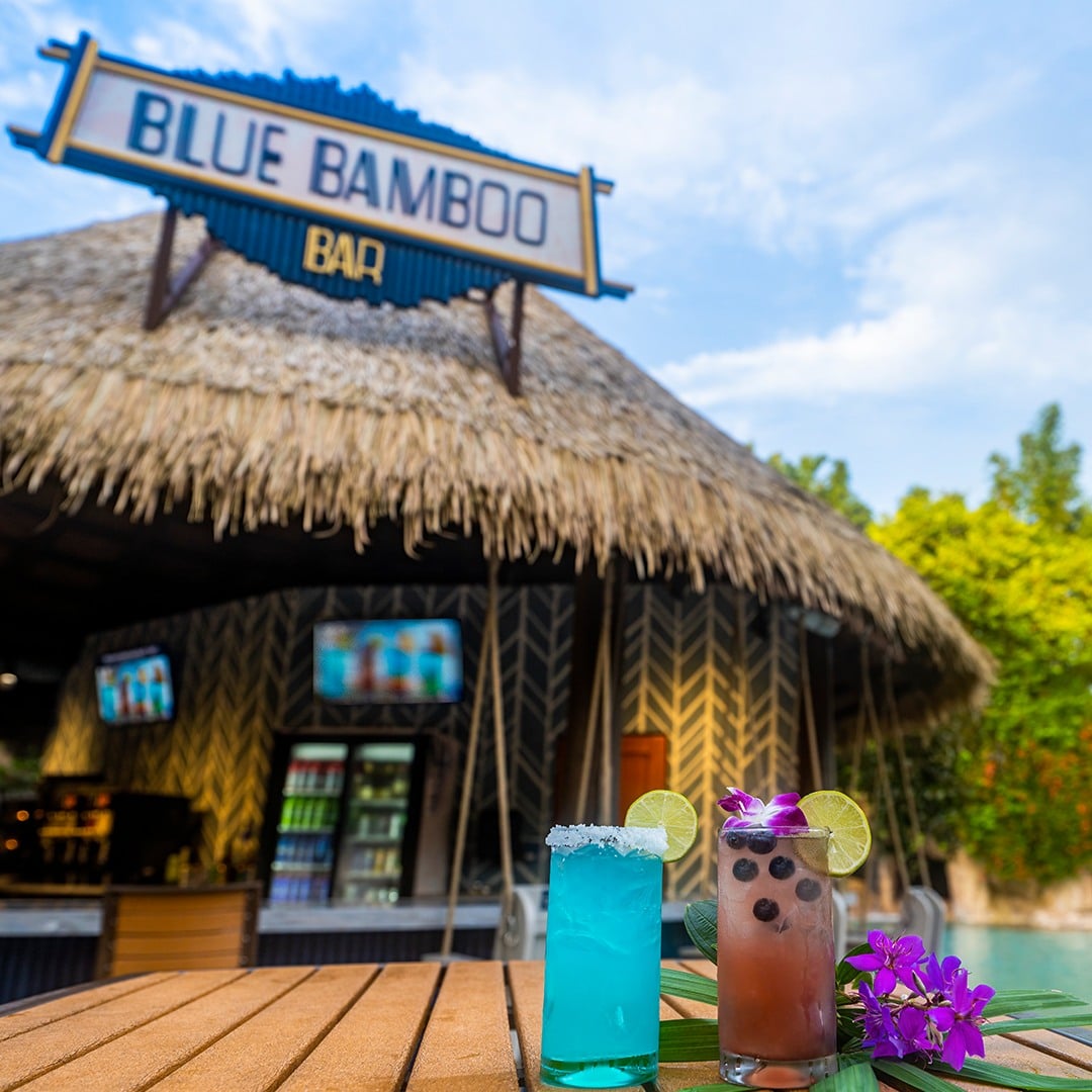 Make a Splash With These Discovery Cove Tips & Tricks - Park Savers