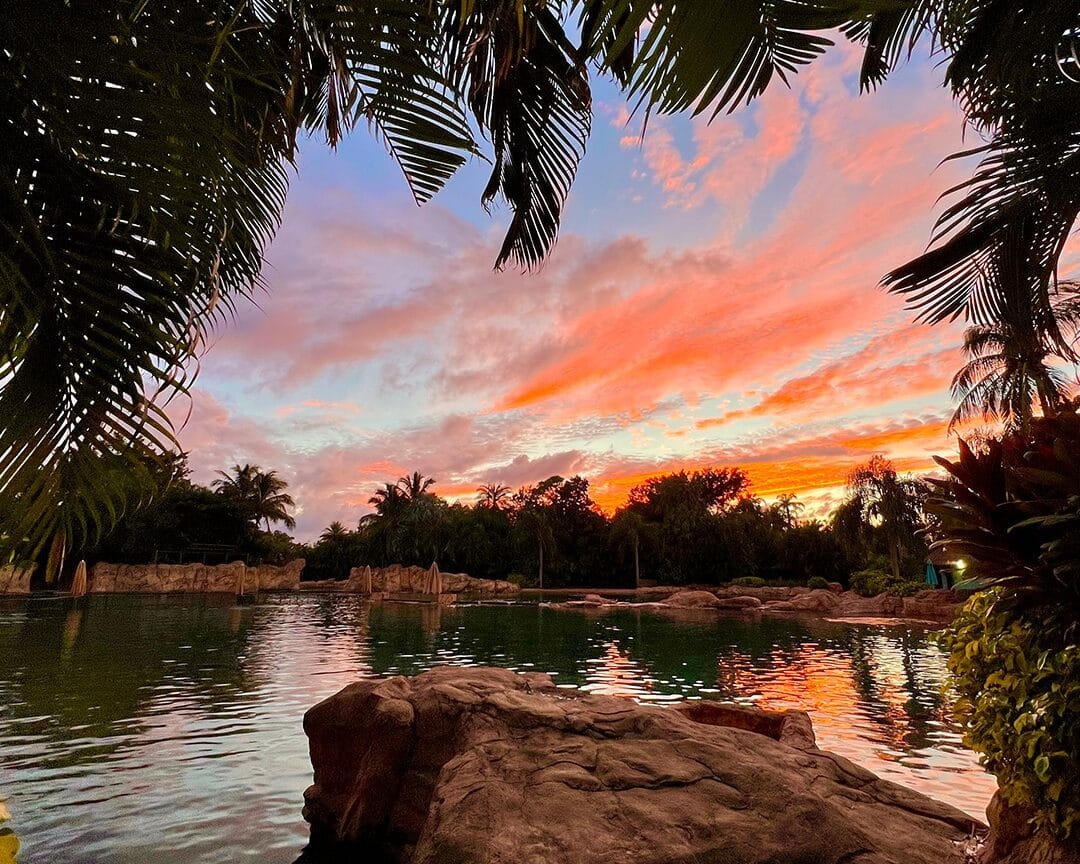 Make a Splash With These Discovery Cove Tips & Tricks - Park Savers