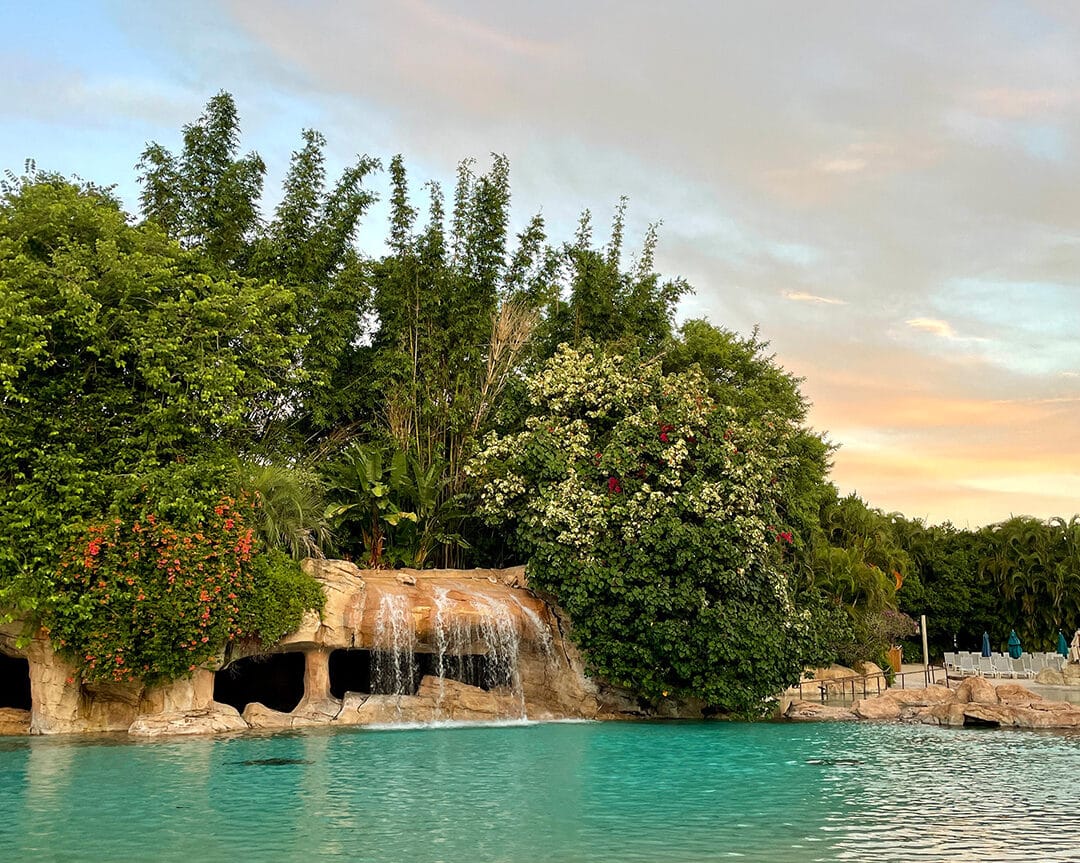 Ultimate Guide to Orlando's Discovery Cove - Park Savers