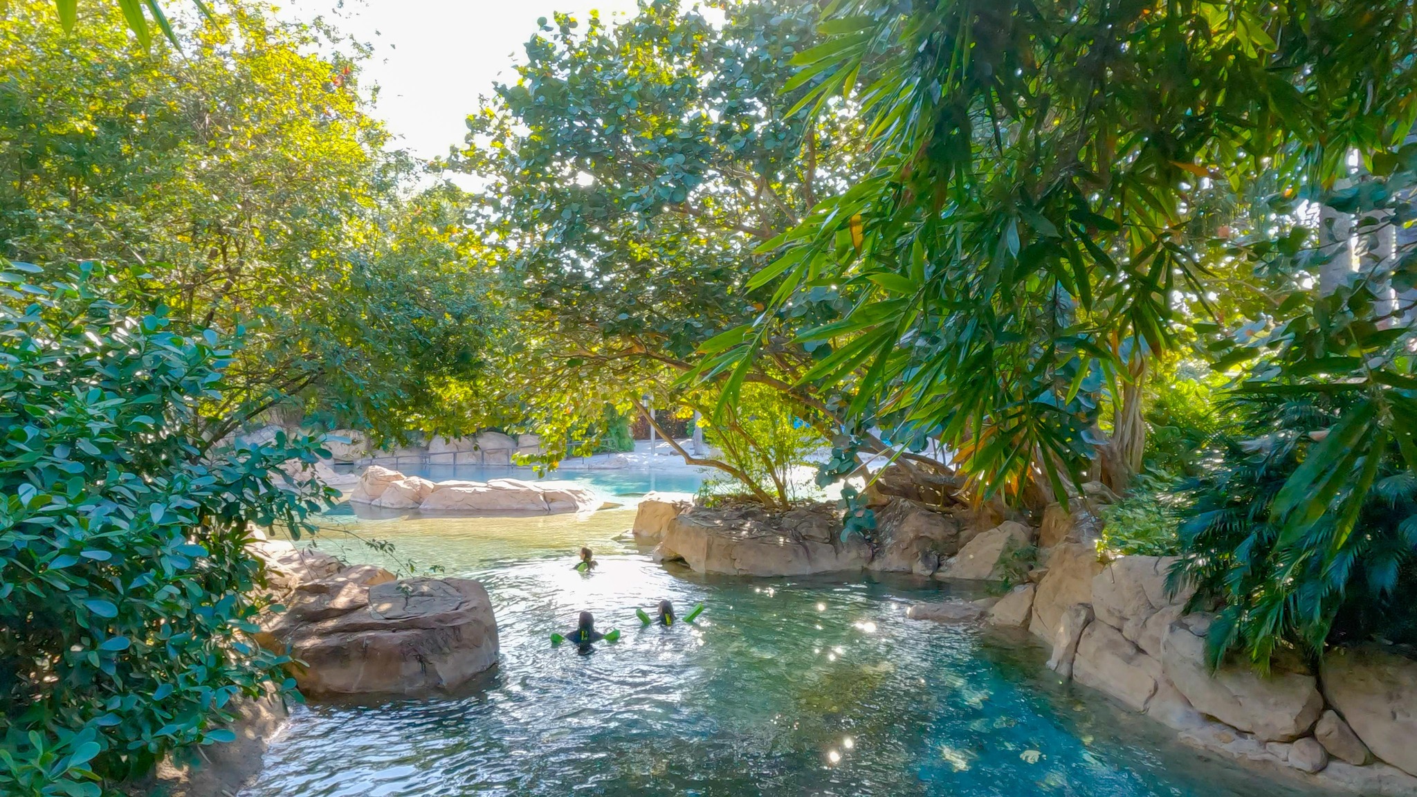 Top 14 Things to Do at Discovery Cove Orlando
