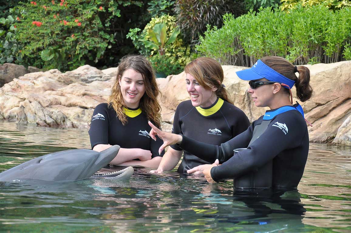 Want to Swim with Dolphins? Discovery Cove Is the Place to Do It - Park ...
