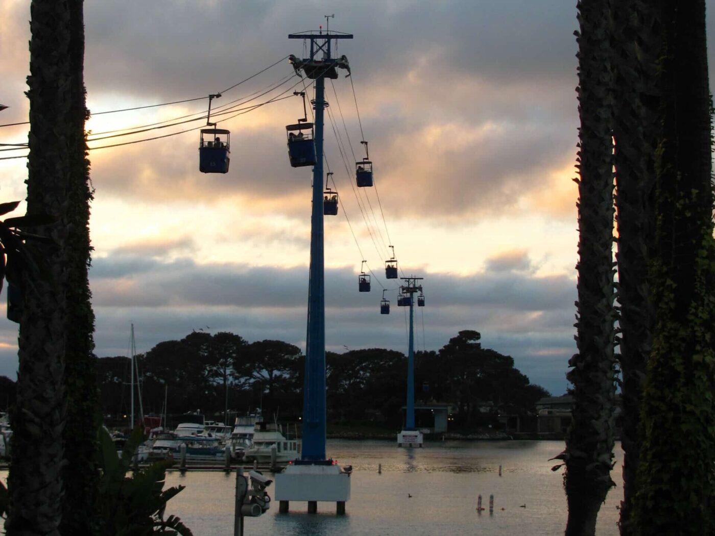 Complete SeaWorld San Diego Height Requirements Guide - Disney by Mark