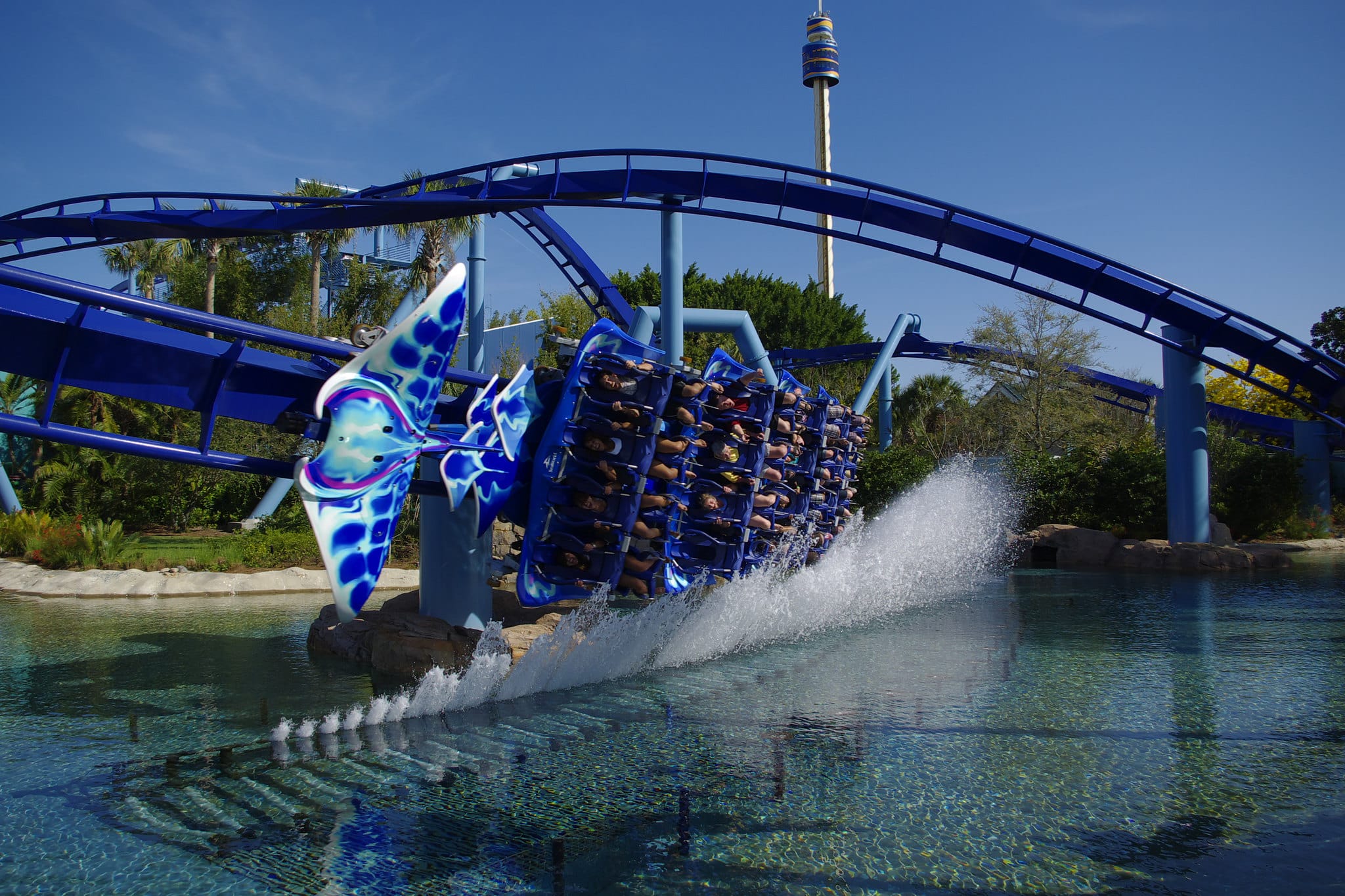 Ultimate Guide To SeaWorld Rides In Orlando Roller Coasters Water Ultimate Guide To SeaWorld Rides In Orlando Roller Coasters Water